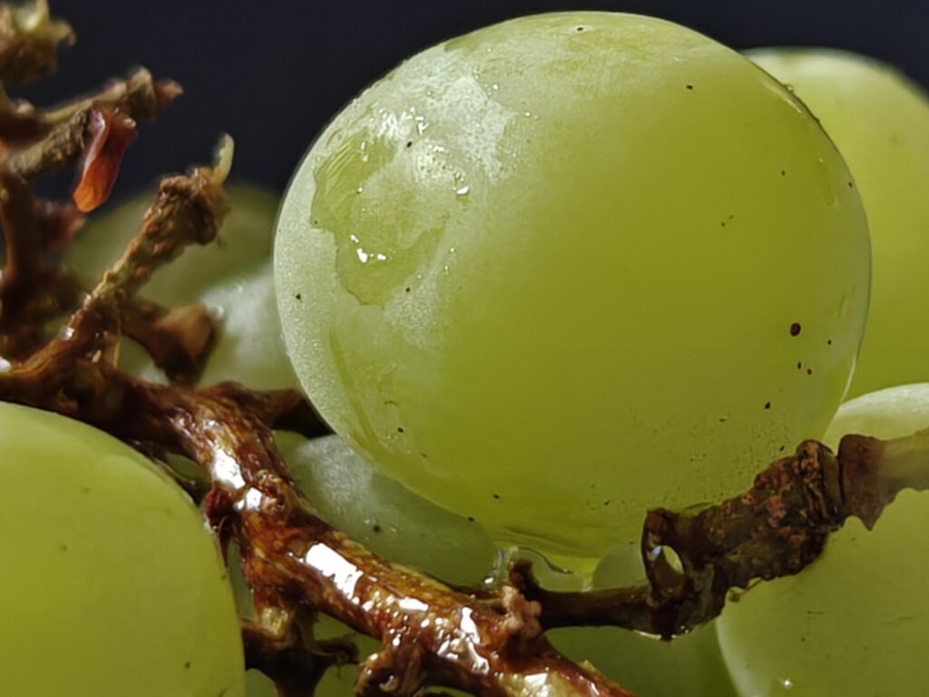 OnePlus 13 Review: Fast, Functional, and Full of Delightful Details – JohanPersson.nu