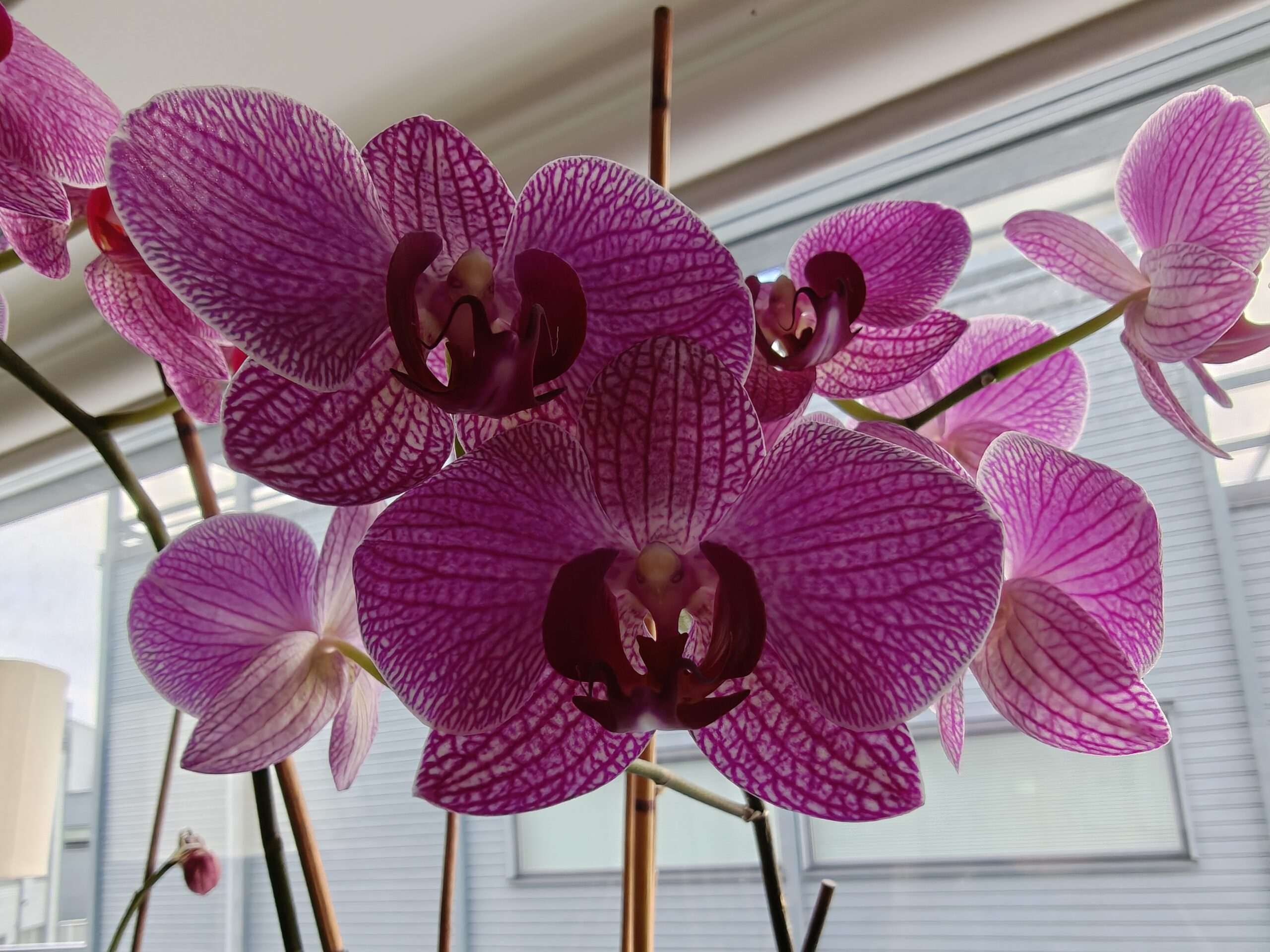 OnePlus 15 Review: Massive Battery Meets Premium Design – JohanPersson.nu